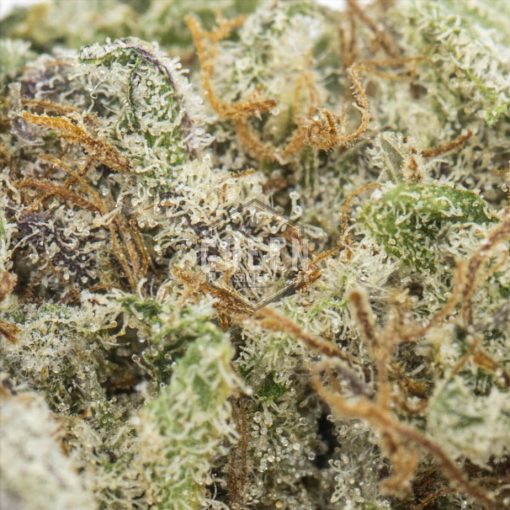 Online Dispensary Canada | Buy Weed Online | The Green Room