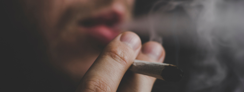 How to Roll a Joint: A Step-by-Step Guide ~ Green Society Blog