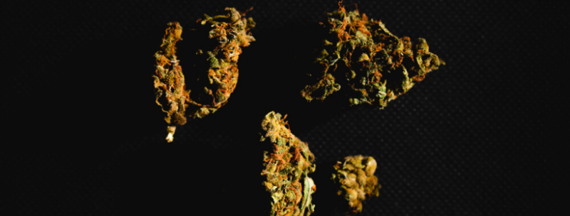 Top 8 Fruity Marijuana Indica Strains ~ Green Society Blog