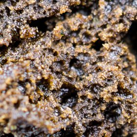 Buy Concentrates Online | Medical Marijuana Canada | Green Society