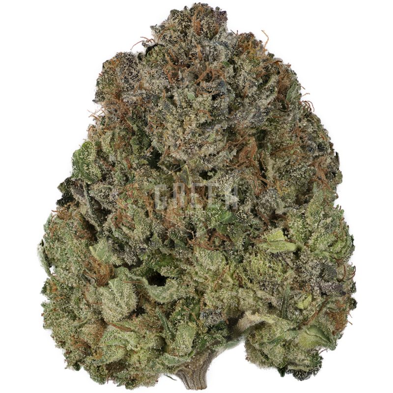 Best Hybrid Marijuana Strains | Buy Weed Online | Green Society