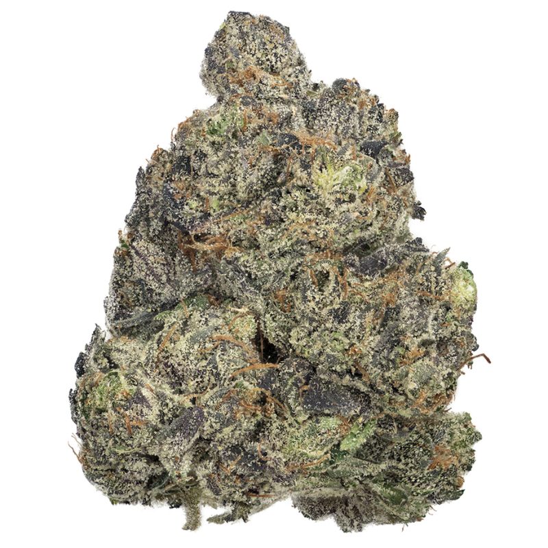 Fatso by Pluto Craft Cannabis | Buy Weed Online | Green Society