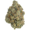 Jealousy Strain | Buy Weed Online | Green Society
