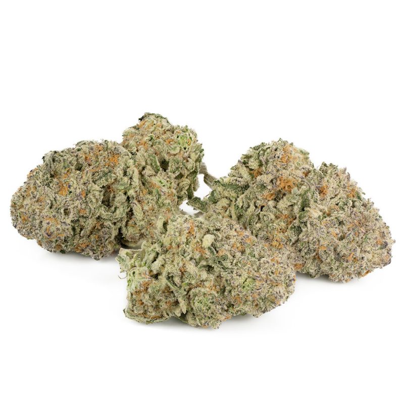 Gary Payton | Buy Weed Online | Green Society