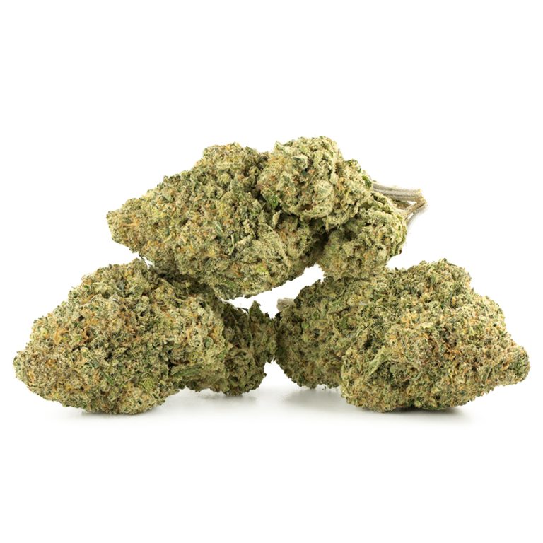 Citrique Strain | Buy Weed Online Canada | Green Society