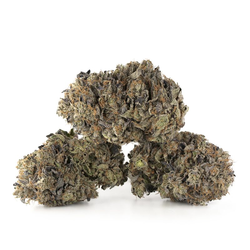 Fatso by Pluto Craft Cannabis | Buy Weed Online | Green Society