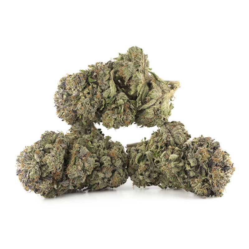 Best Hybrid Marijuana Strains | Buy Weed Online | Green Society