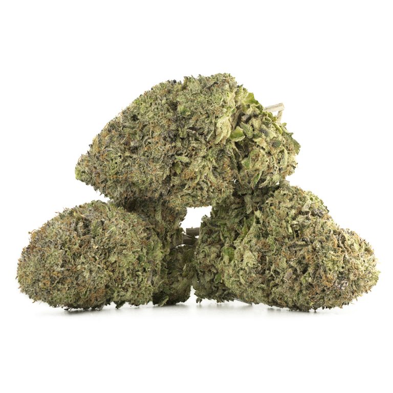 Hash vs. Weed: Comparing Effects, Uses, and Preferences ~ Green Society ...