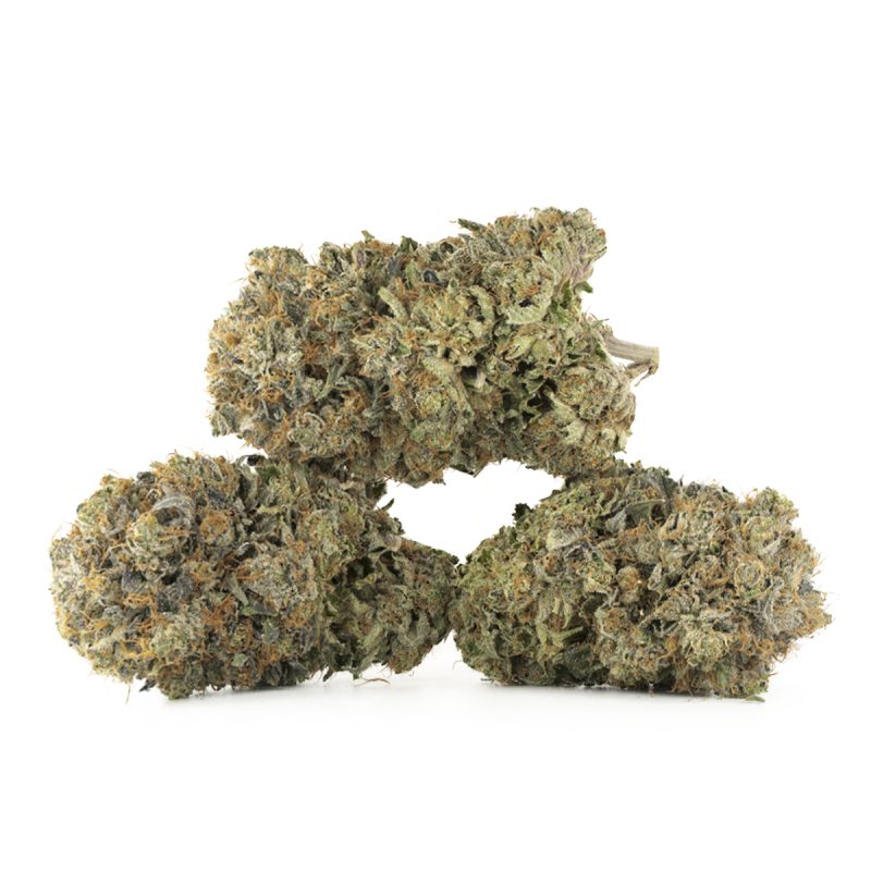 THC Edibles | Buy Weed Edibles Online at #1 Dispensary Canada