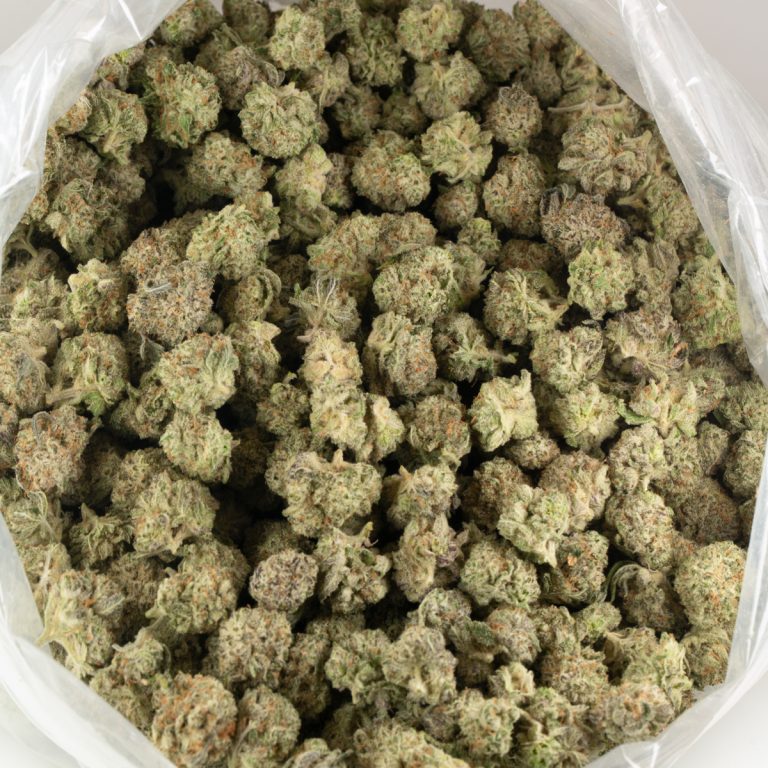 Frosty Gelato (Popcorn) Strain | Buy Weed Online | Green Society