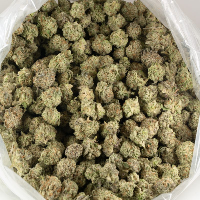 Frosty Gelato (Popcorn) Strain | Buy Weed Online | Green Society