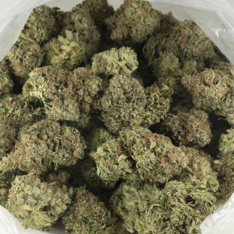 Platinum Bubba Kush Strain | Buy Weed Online | Green Society
