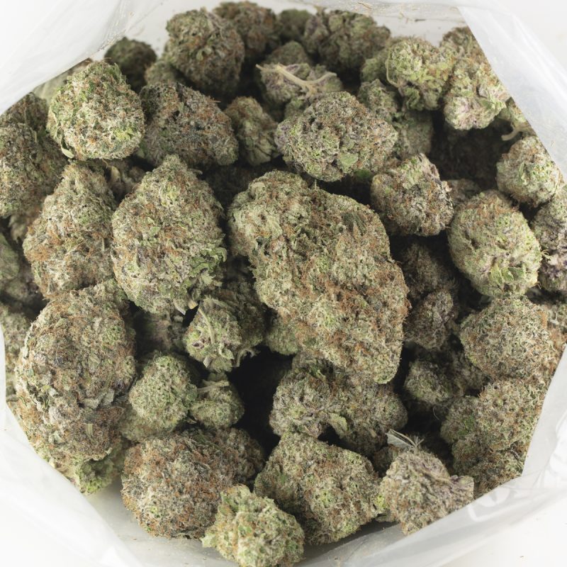 Blueberry Strain | Buy Weed Online | Green Society