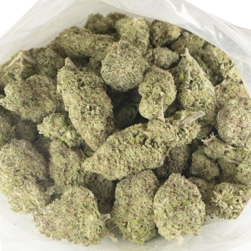 Cactus Breath Strain | Buy Weed Online | Green Society