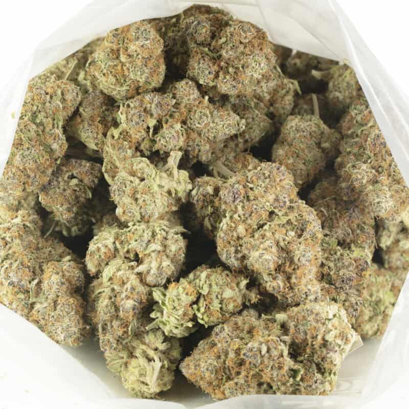 Durban Poison Strain | Buy Weed Online Canada | Green Society