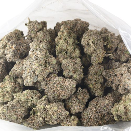 Mochi Gelato Strain | Buy Weed Online Canada | Green Society