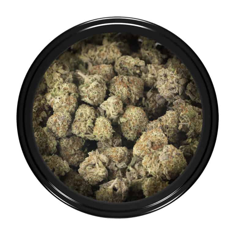 THC Edibles | Buy Weed Edibles Online at #1 Dispensary Canada