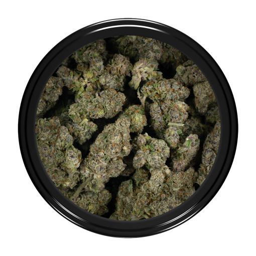 Candy Store Strain | Buy Weed Online | Green Society